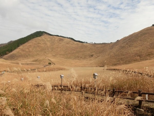 Soni Highland - JapanVillage